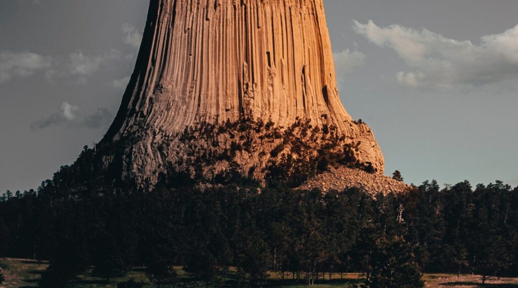 Washington State Exodus: Top Destinations for Movers Revealed