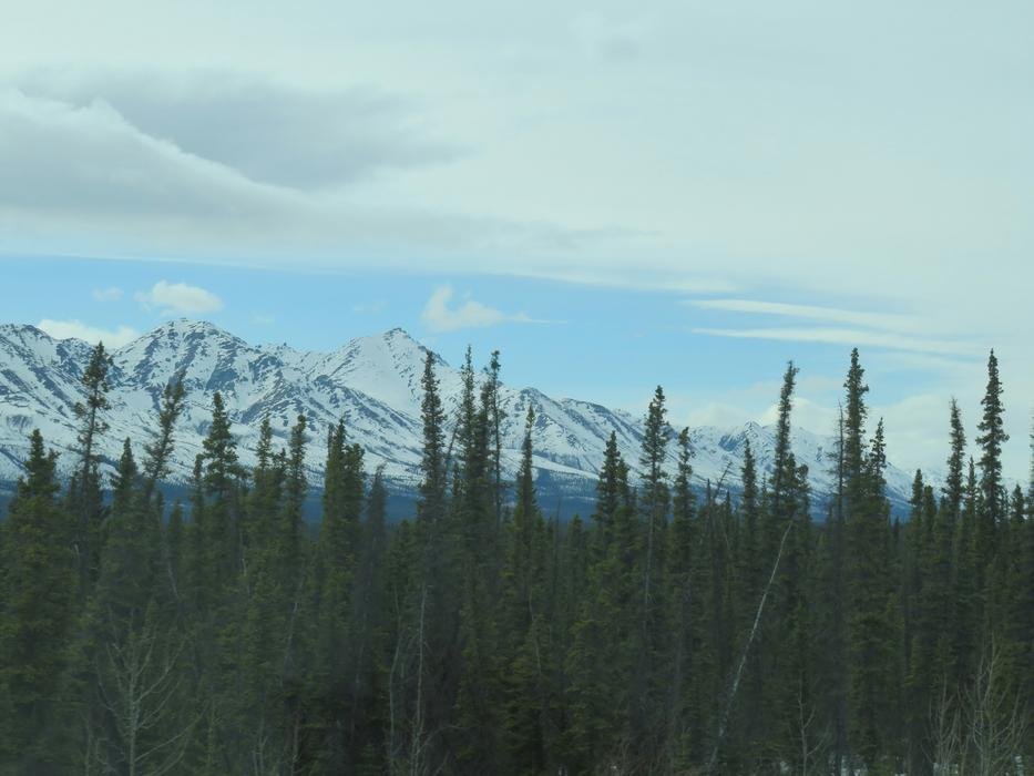 Moving from Montana to Connecticut: A Guide to New Beginnings